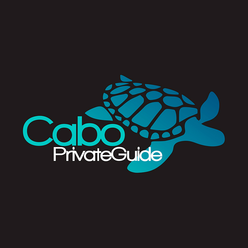 Hover Like a Pro: Mastering Neutral Buoyancy while Scuba diving | Cabo ...